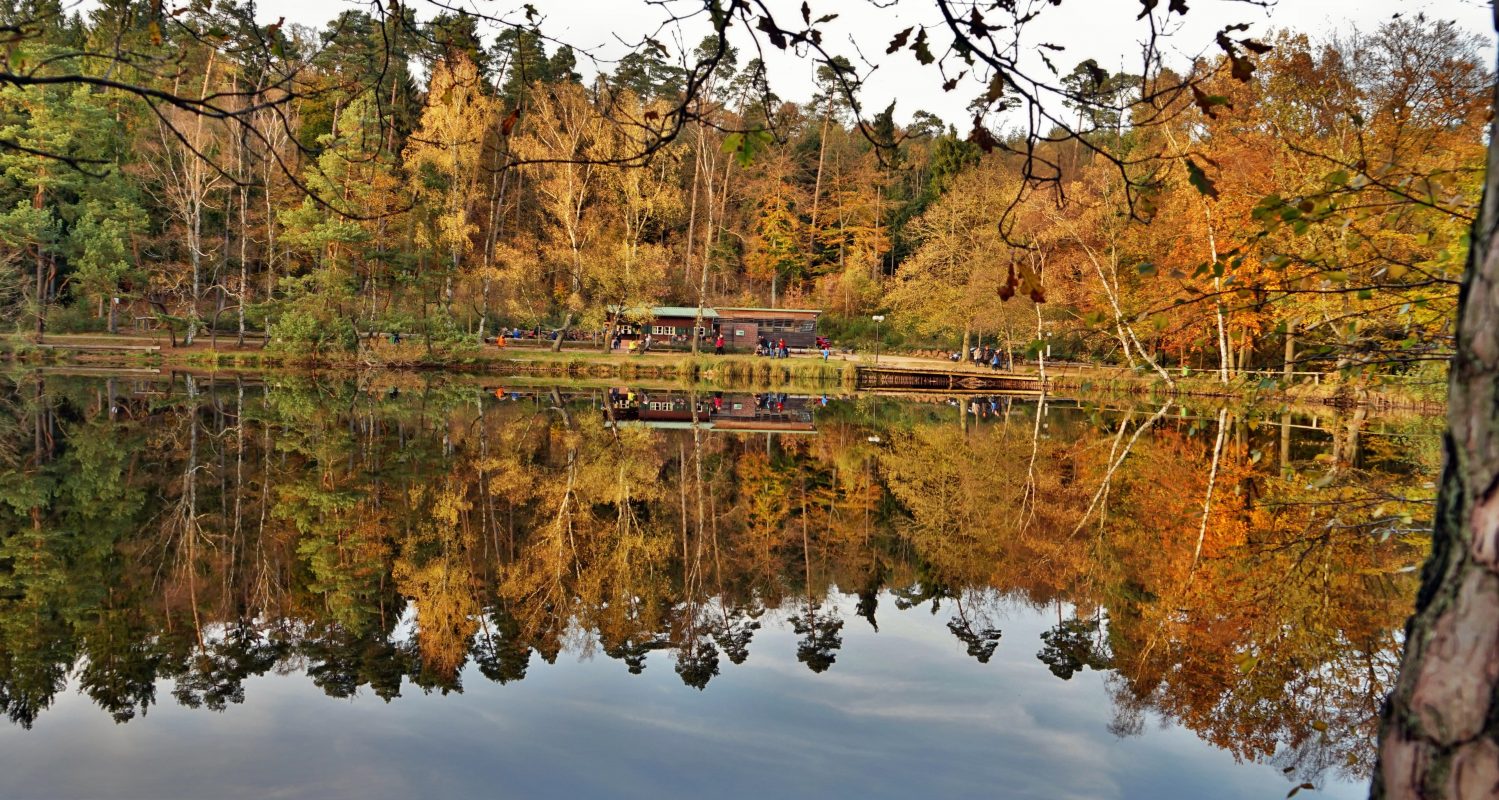 Retzberghütte Sippersfeld – Am Sippersfelder Weiher im Donnersbergkreis